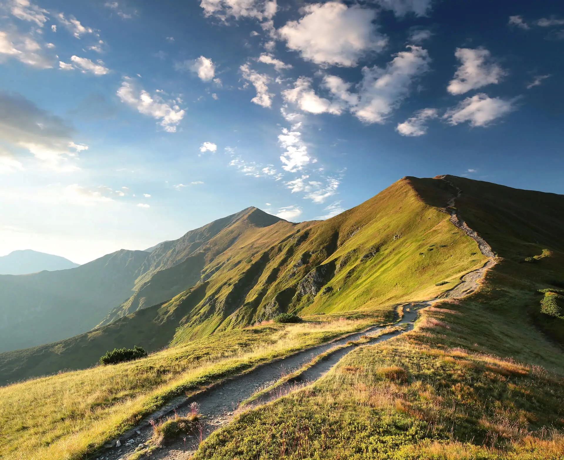 Strona główna - City Point